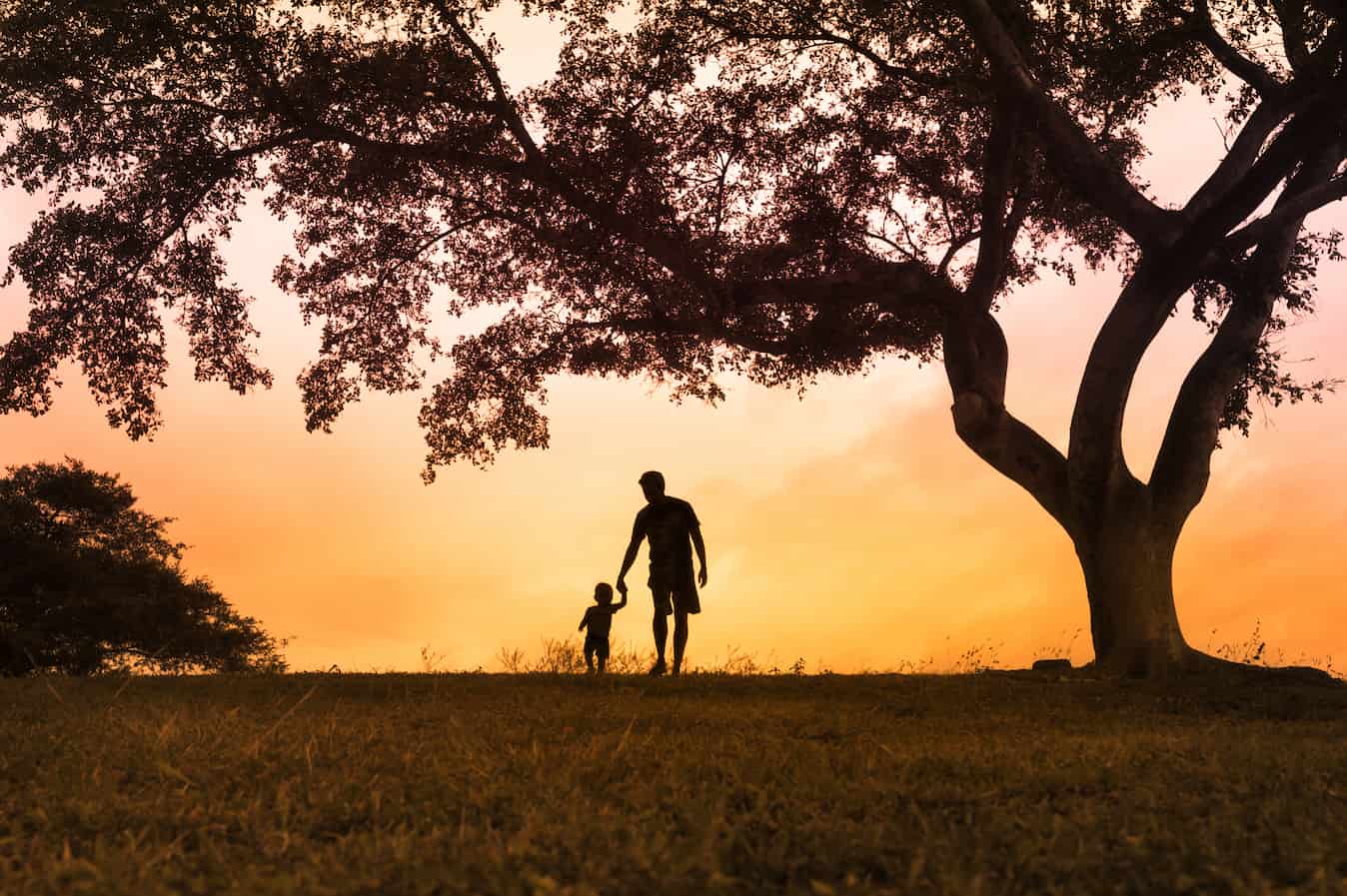 What Is Individuation Relationship Coaching Retreat For Individuals what-is-individuation-relationship-coaching-retreat-for-individuals
